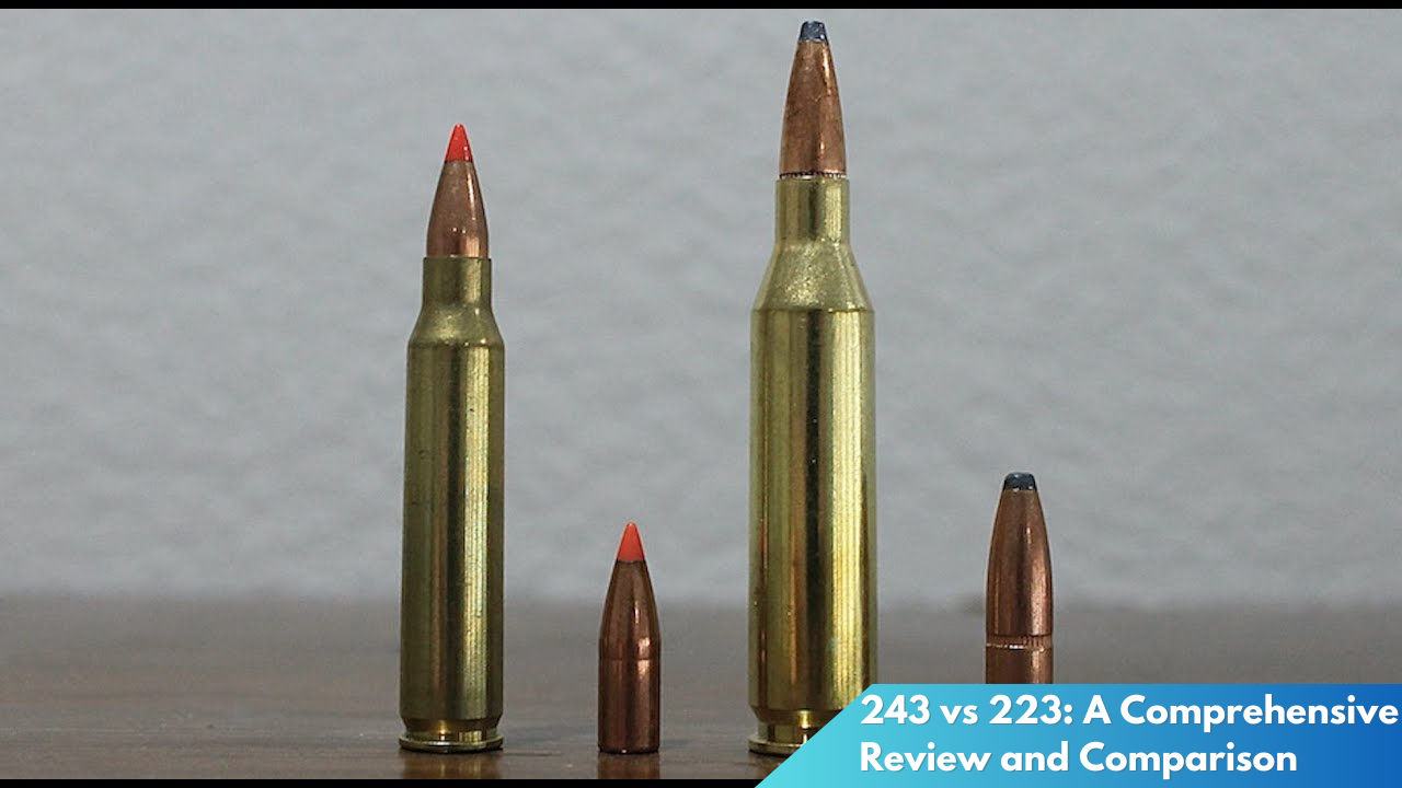 243 vs 223: A Comprehensive Review and Comparison