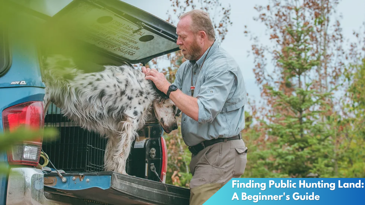 Finding Public Hunting Land: A Beginner's Guide
